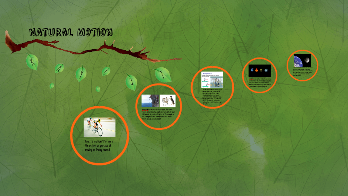 Natural v.s Violent Motion by Kayla Tran on Prezi
