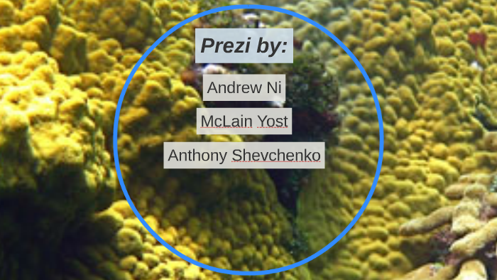 Andros Barrier Reef by Andrew Ni on Prezi