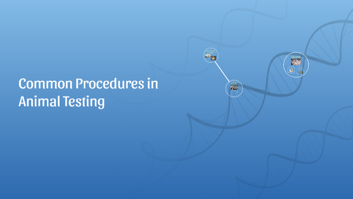 Common Procedures in Animal Testing by Amelia Williams on Prezi