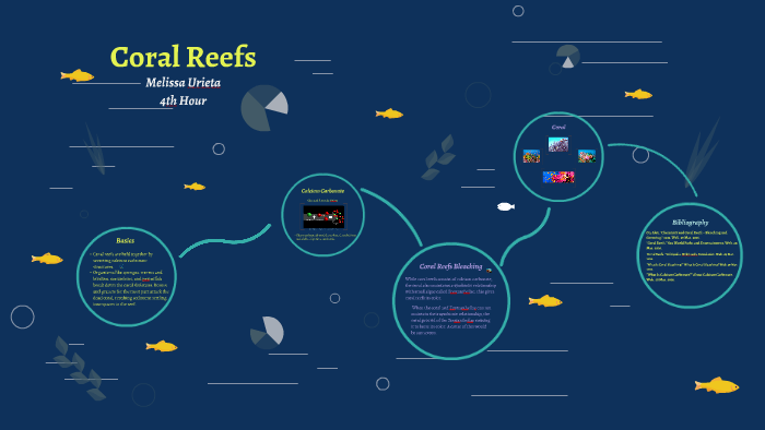 Chemistry In Coral Reefs by Melissa Urieta on Prezi