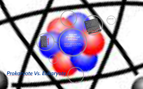 Prokaryote Vs. Eukaryote by Jacob Ogan on Prezi