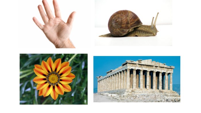 Fibonacci Numbers by Angelia Laudermilch on Prezi