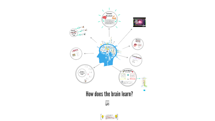 Chp. 1 How does the brain learn? Neuroplasticity and and Deep Learning by Paul Daigle on Prezi