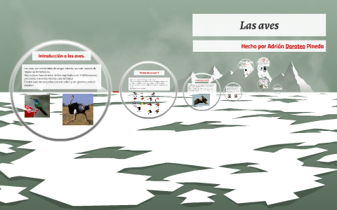 Las aves by adrian doroteo pineda on Prezi
