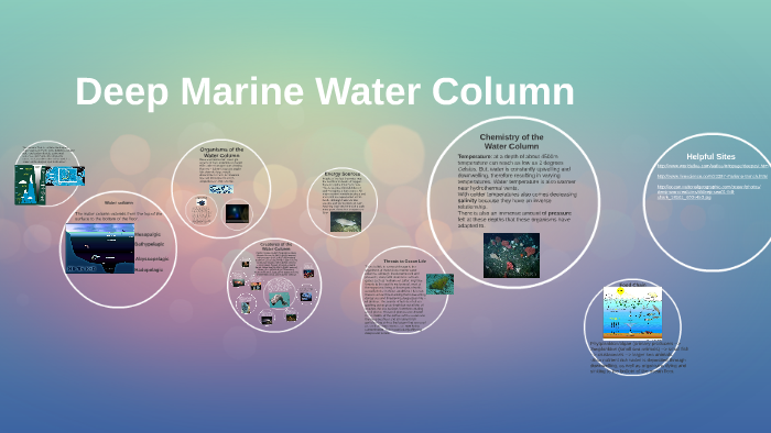 Deep Marine Water Column by Lizette Arellano on Prezi