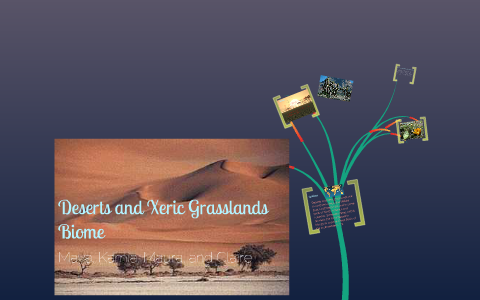 Deserts and Xeric Grasslands by Claire Geldzahler on Prezi