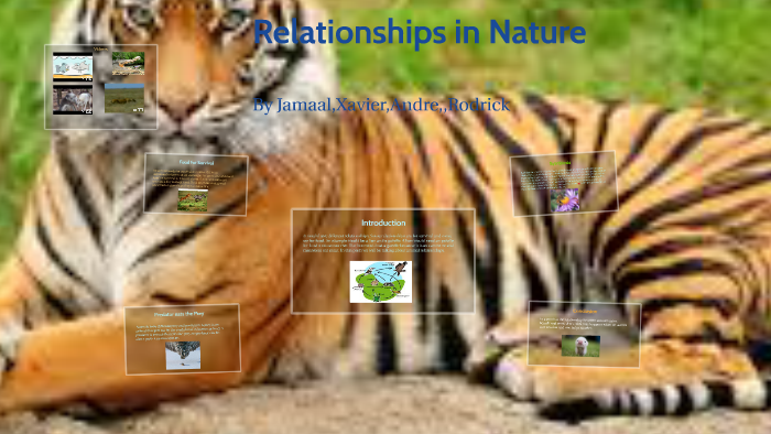 Relationships in Nature by Xavier Clark on Prezi