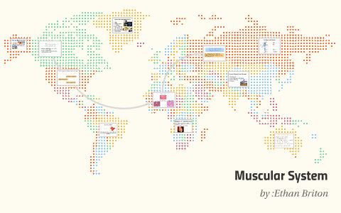 Muscular System by ethan britton on Prezi
