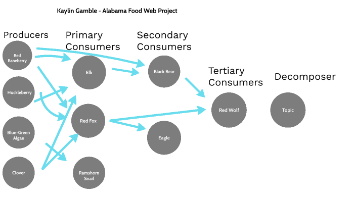 Alabama Food Web Project by Kaylin Gamble on Prezi