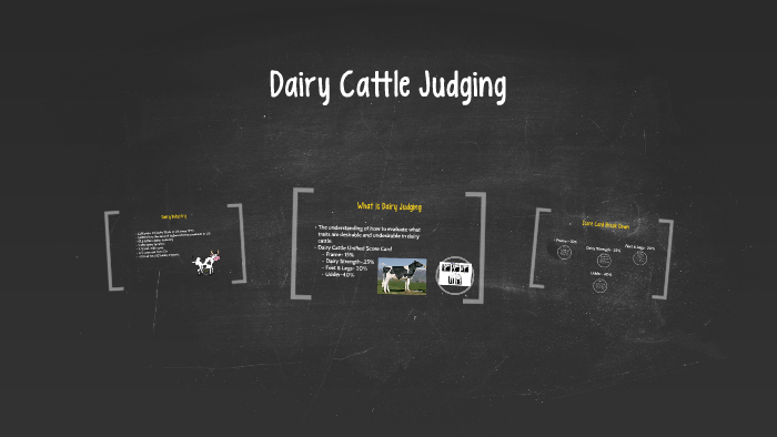 Dairy Cattle Judging by on Prezi