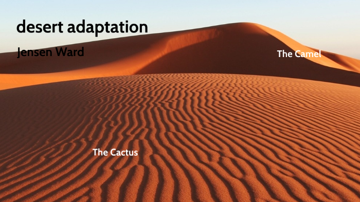 desert adaptations by jensen ward on Prezi