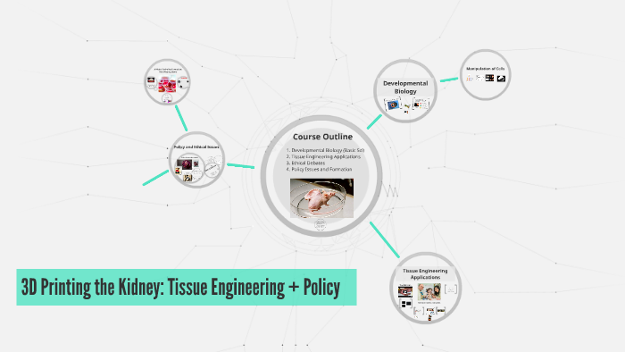 3D Printing the Kidney: Tissue Engineering by Kevin Hwang on Prezi
