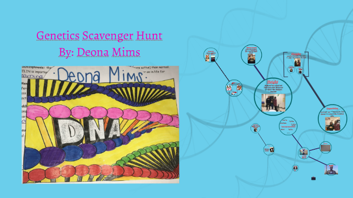 Genetics Scavenger Hunt by Deona M. on Prezi