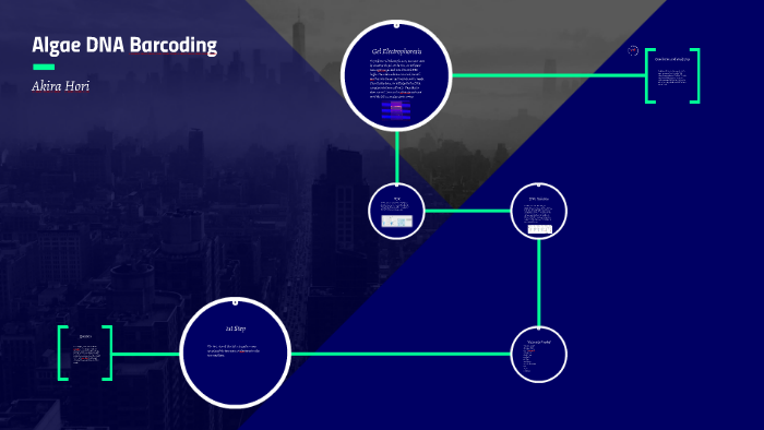 Algae DNA Barcoding by on Prezi