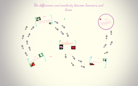 The difference's and similarity between Jasmine's and Roses by jasmine ...