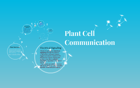 Plant Cell Communication by Binhan Karaibrahim on Prezi