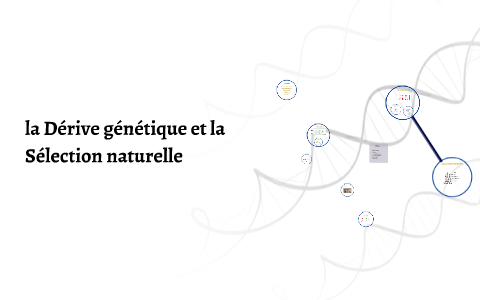 la dérive génétique et la sélection naturelle by savinien tête on Prezi