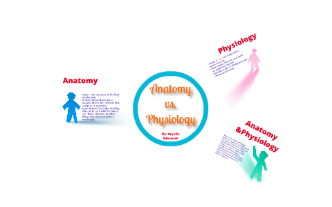 Compare And Contrast Anatomy And Physiology By Aryelle Edmonds On Prezi