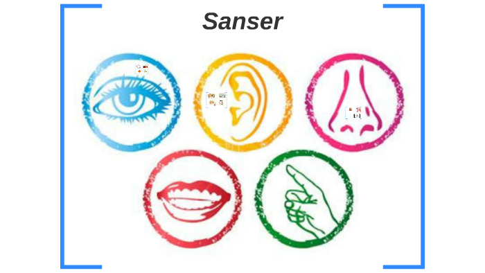 Sanser by Håvard Steffenak on Prezi