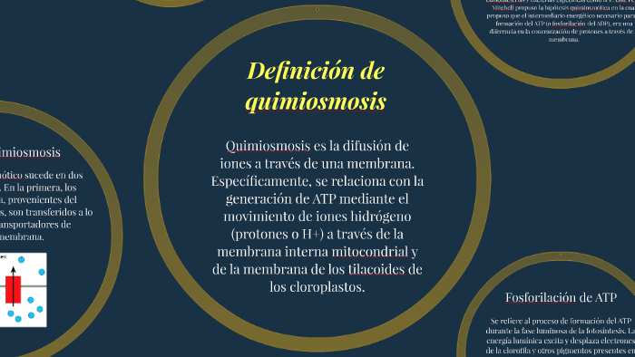 Definición de quimiosmosis by Teresa Vergara on Prezi