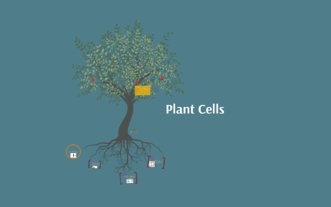 Plant Cells by Clare Quigley on Prezi