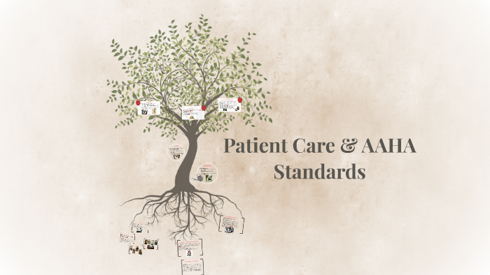 Patient Care & AAHA Standards by Carola Stevenson on Prezi Patient Care & AAHA Standards by Carola Stevenson on Prezi