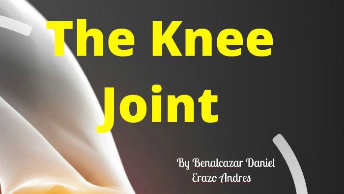 Knee Joint Anatomy Imaging Pathologies by Andres Erazo on Prezi