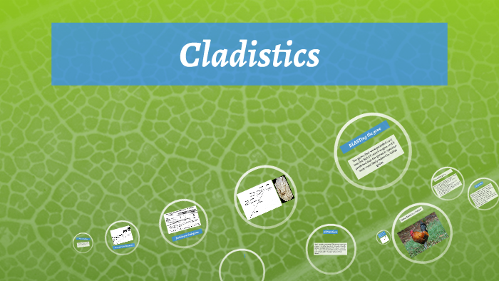 Cladistics by Chris Johnson on Prezi
