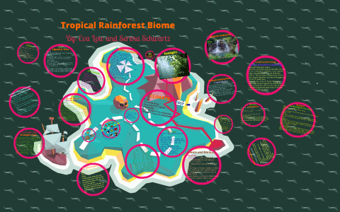 Tropical Rainforest Biome by Eva Low on Prezi