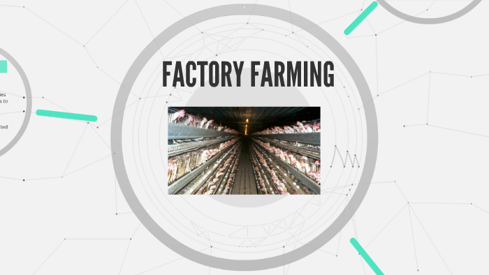 FACTORY FARMING by Luke Magner on Prezi