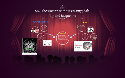 SM, The woman without an amygdala by Jilly Lyle on Prezi