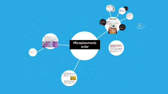 Micoplasmosis aviar by senaida rodriguez