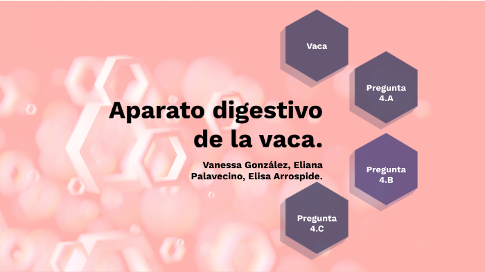 aparato digestivo vaca by Vanessa Gonzalez on Prezi