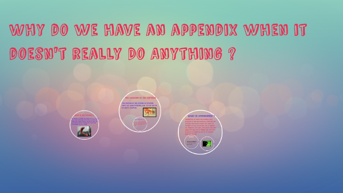 Why do we have an appendix when it dosent really need it ? by Grade 4 ...