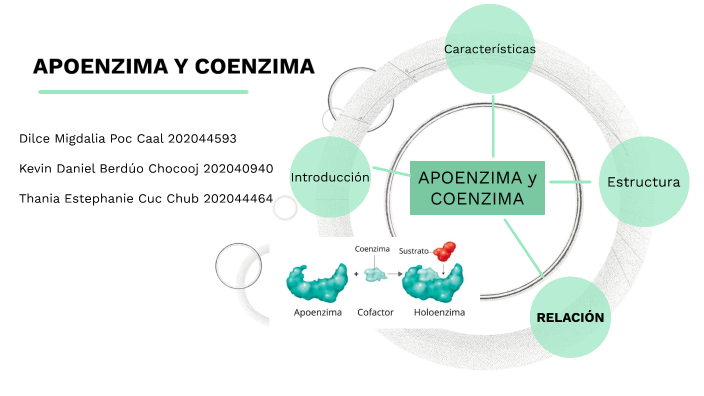 Relación Apoenzima y Coenzima by Kevin Daniel Berdúo Chocooj on Prezi