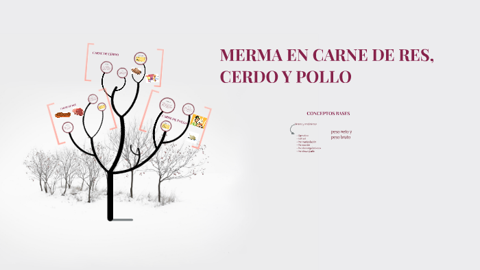 MERMA EN CARNE DE RES, CERDO Y POLLO by Nicolas Osorio on Prezi