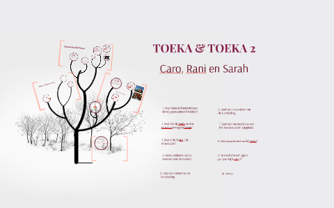 TOEKA & TOEKA 2 by sarah van der straeten on Prezi