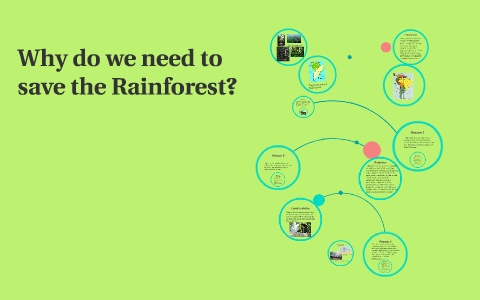 Why do we need to save the Rainforest? by lynnette schlueter on Prezi