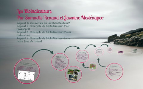 Les bioindicateurs by Samuelle Renaud on Prezi