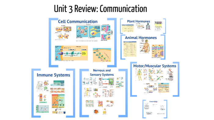 AP Unit 3 Review: Cell Communication by Christopher Himmelheber on Prezi