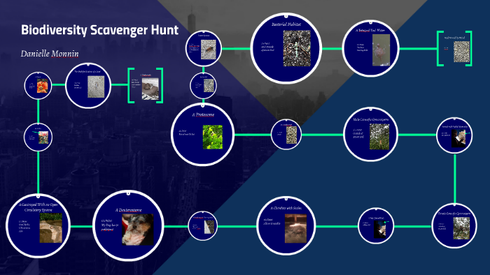 Biodiversity Scavenger Hunt by Danielle Monnin on Prezi
