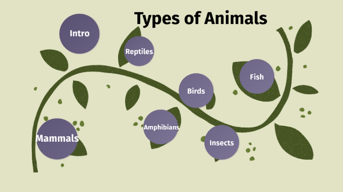 Types of Animals by Lauren Coffield on Prezi