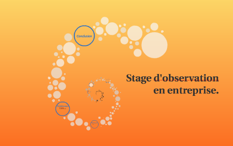 Stage d'observation en entreprise. by javier alonso on Prezi