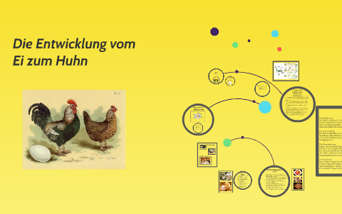 Die Entwicklung vom Ei zum Huhn by magdalena weber on Prezi