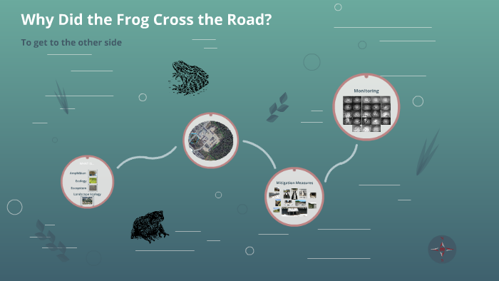 Why Did the Frog Cross the Road? by Samantha Hughes on Prezi