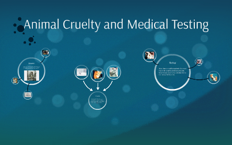 Animal Cruelty and Medical Testing by Chloe Miller