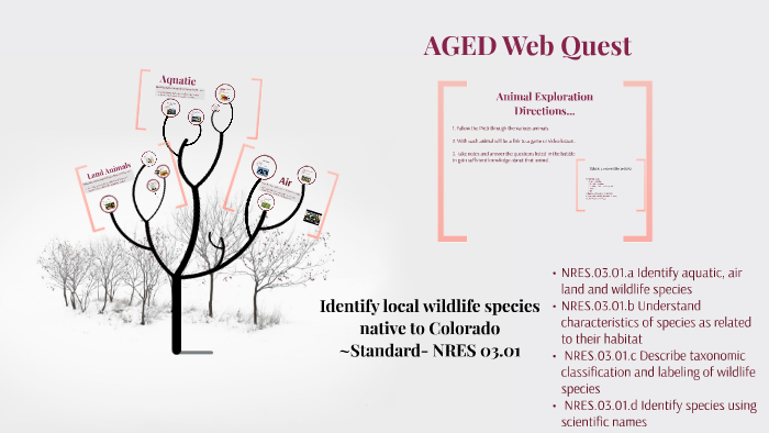 EDUC 331 Webquest by Ariana Brown on Prezi