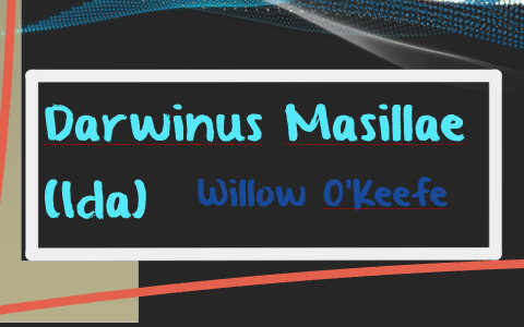 Darwinus Masillae (Ida) by Willow O'Keefe