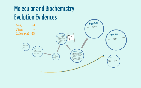 Molecular and Biochemistry Evolution Evidences by ang lert on Prezi