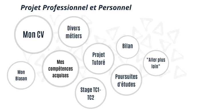 Projet Professionnel et Personnel by Léa Ostler on Prezi